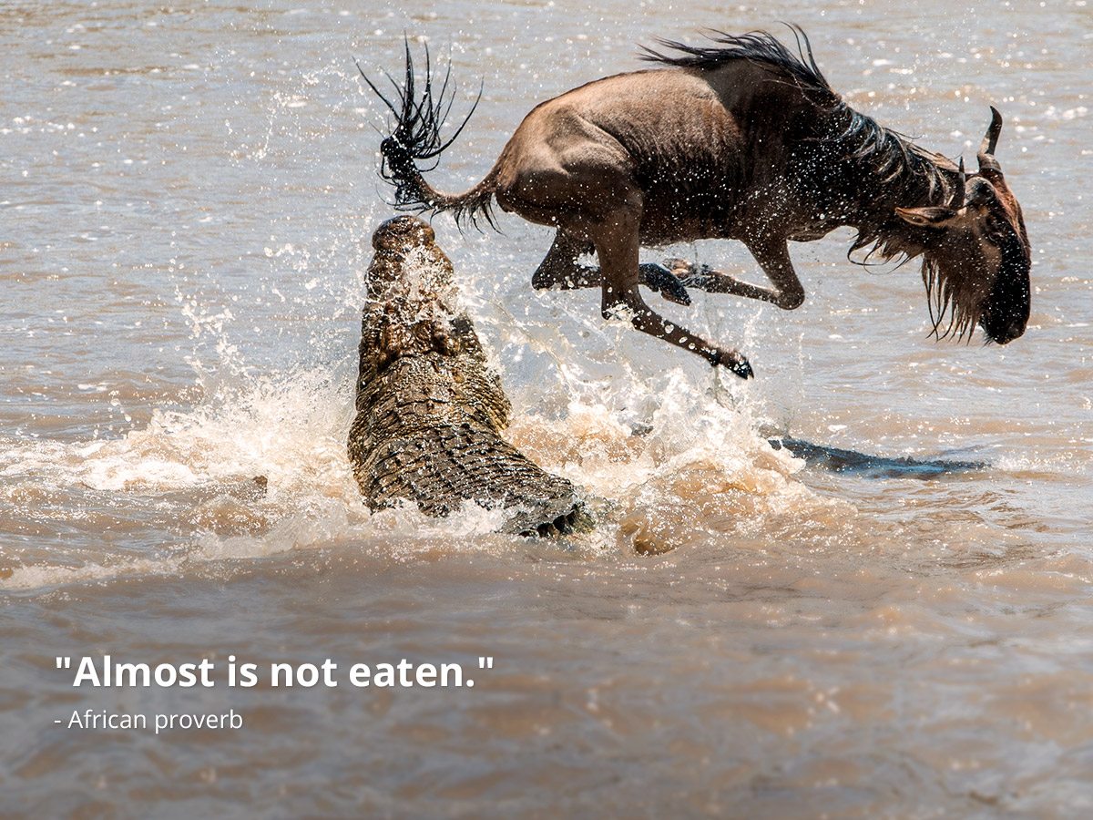 The Wisdom Of African Proverbs | Art Of Safari