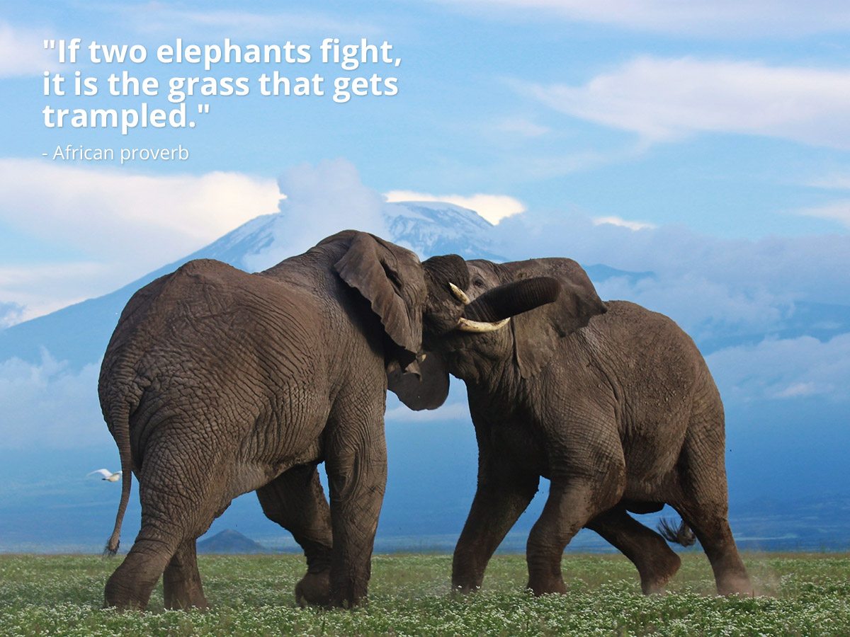 The Wisdom Of African Proverbs | Art Of Safari